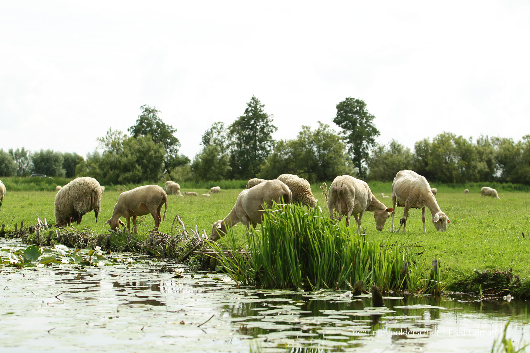 Historische vaartocht door de Streek en het Grootslag - Boeren en ...